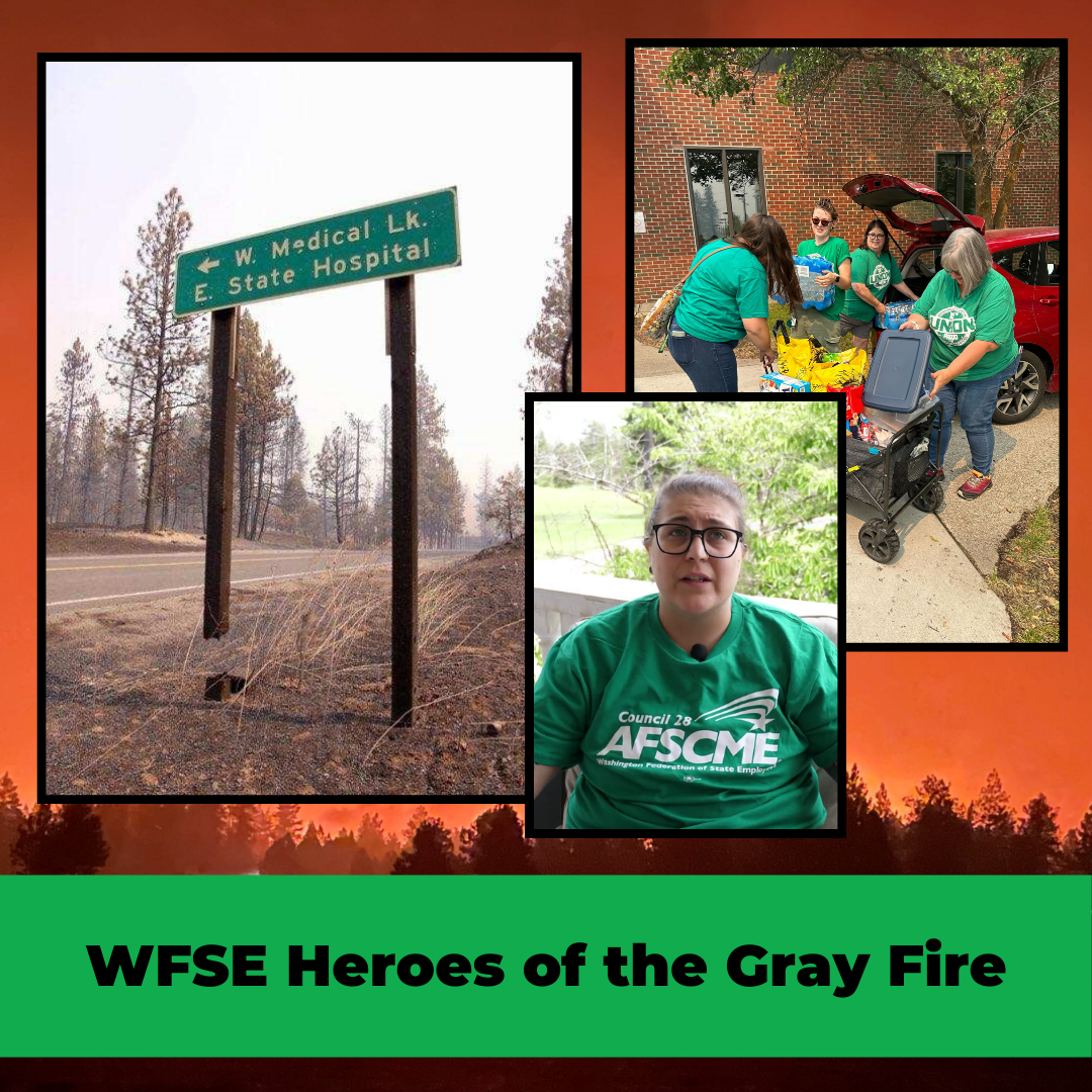 Heroes of the Gray Fire: WFSE Members Hold the Line | AFSCME Council 28 ...
